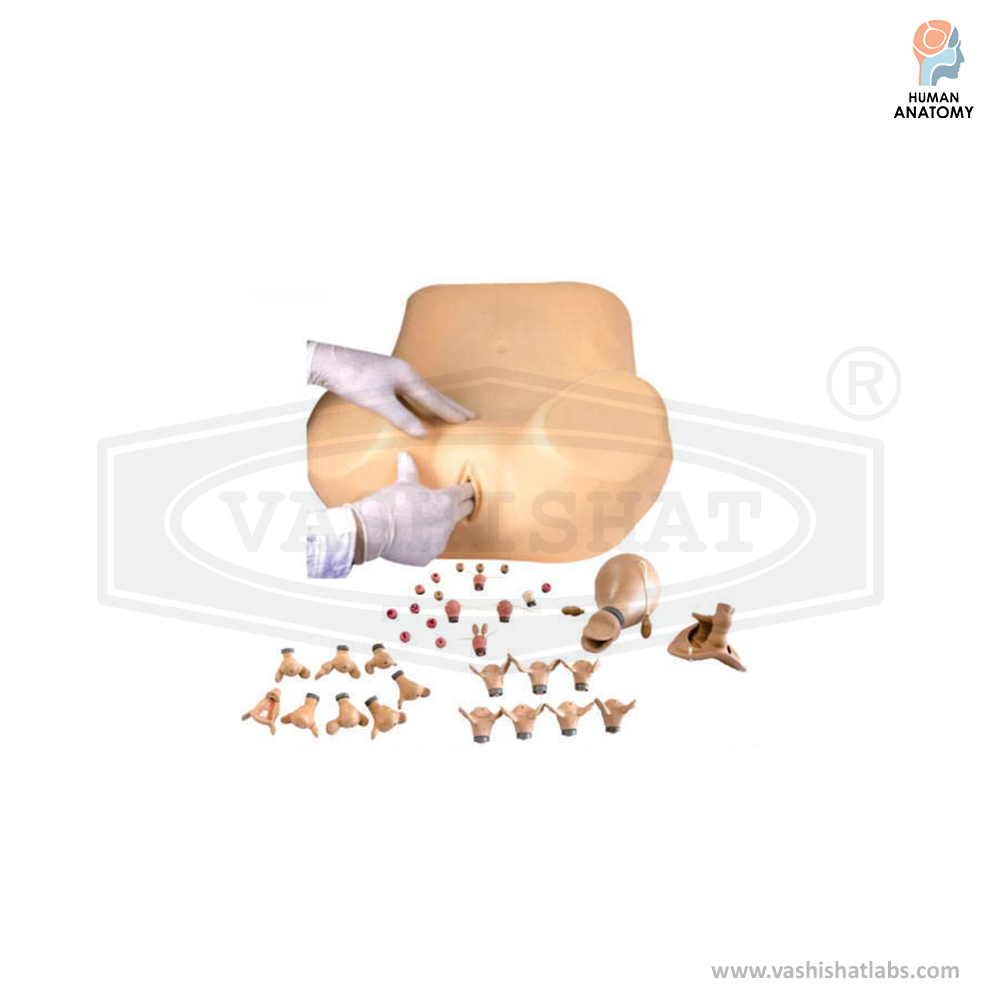 Gynecological Training Simulator