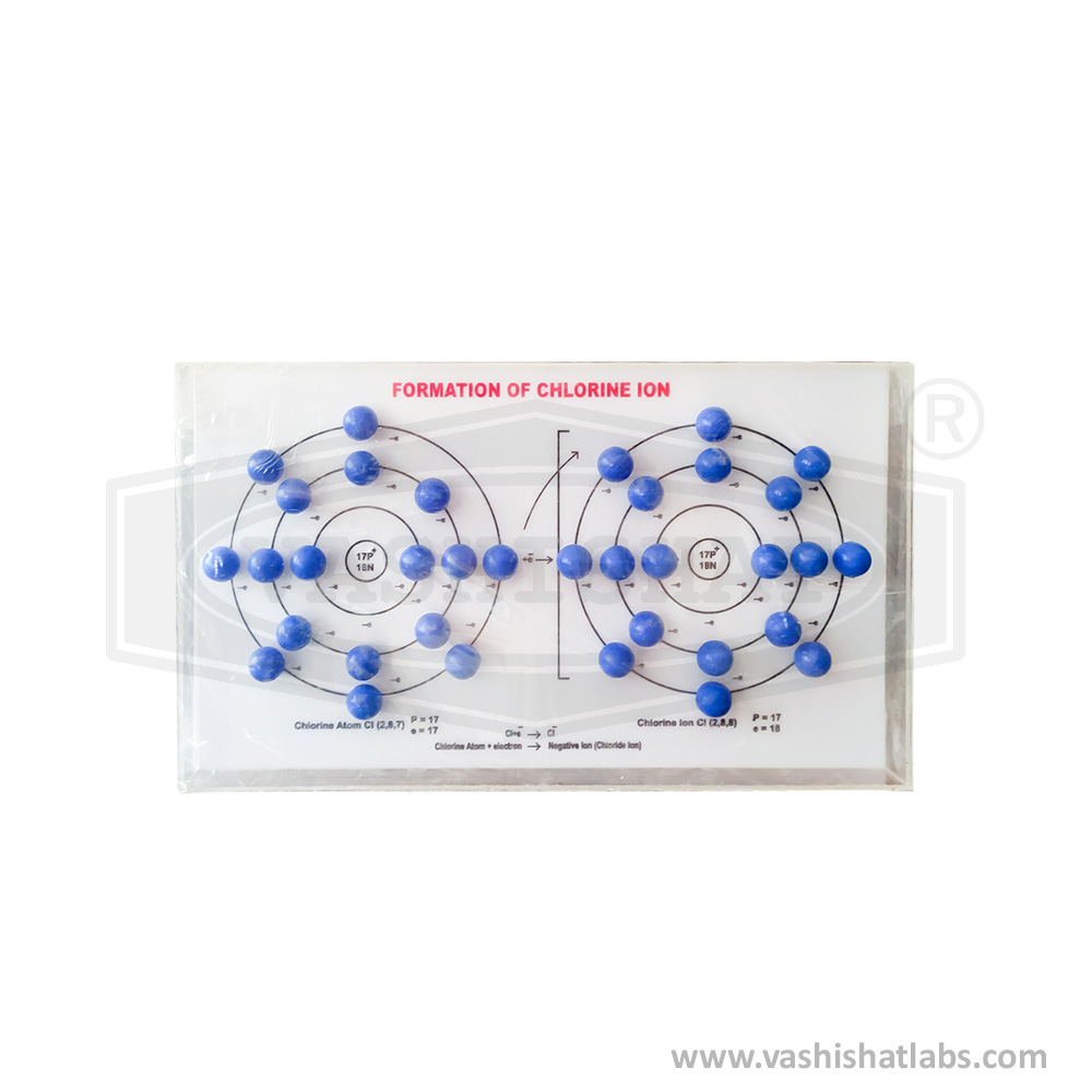 Formation Of Chlorine Ion Model
